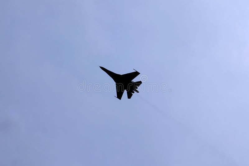 Flying solo stock photo. Image of soar, fowl, journey - 23633950