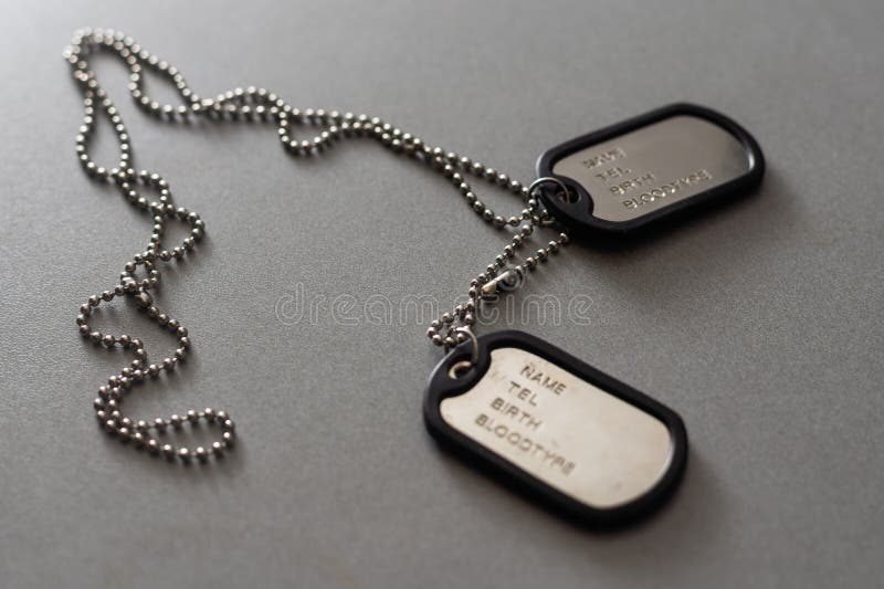 Military ID Tags Isolated on White Background. Stock Photo - Image of ...