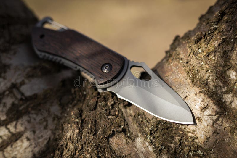 Military Tactical Knife on Tree in the Forest Stock Image - Image of ...