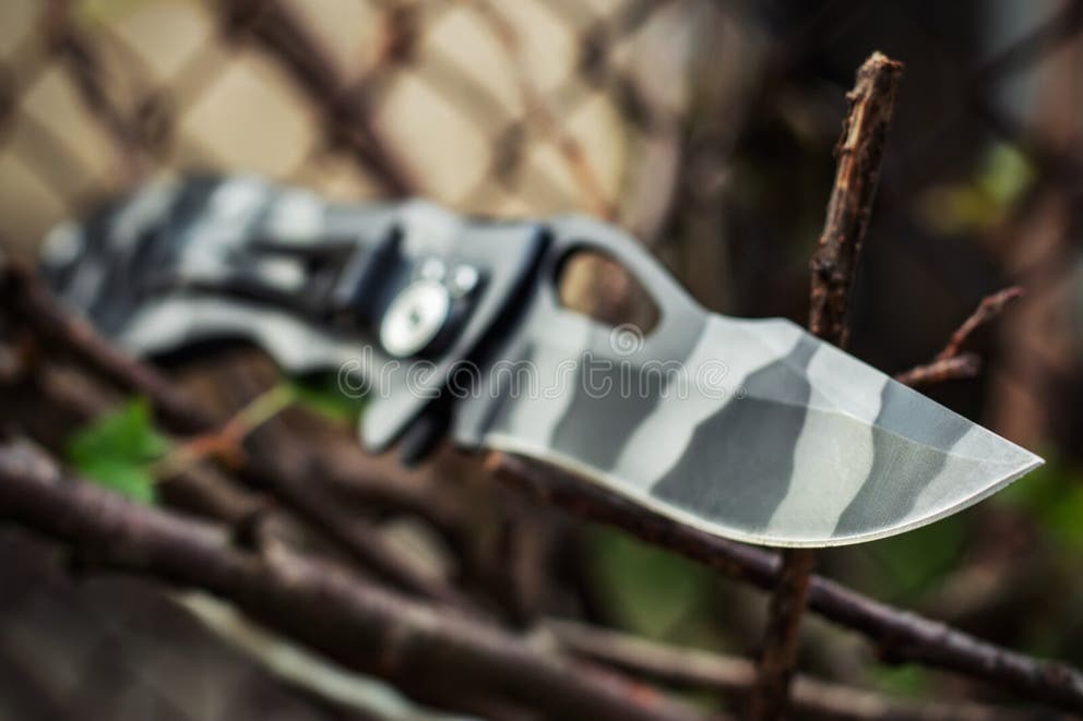 Military Tactical Knife on Tree in the Forest Stock Photo - Image of ...