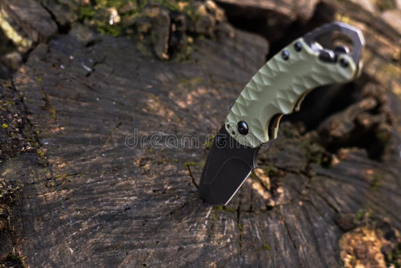 Military Tactical Knife on Tree in the Forest Stock Photo - Image of ...
