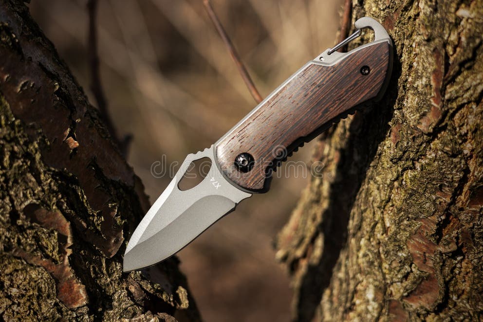 Military Tactical Knife on Tree in the Forest Stock Photo - Image of ...