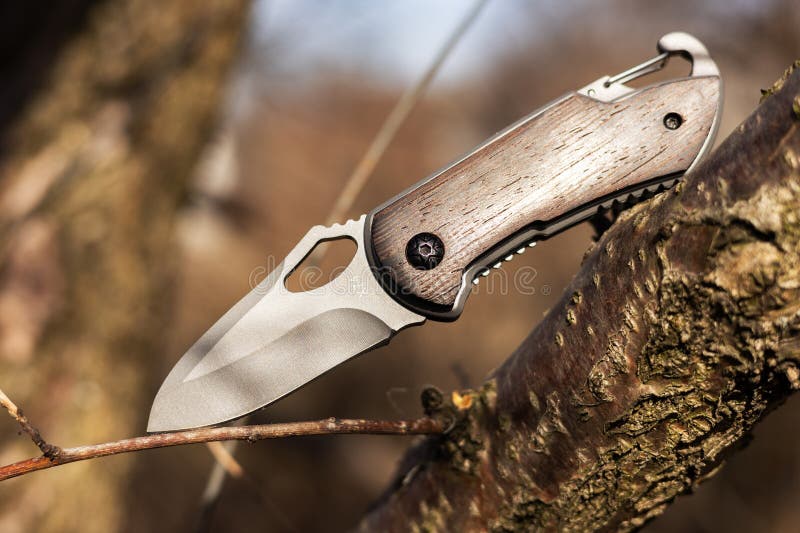 Military Tactical Knife on Tree in the Forest Stock Photo - Image of ...