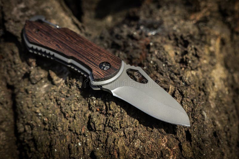 Military Tactical Knife on Tree in the Forest Stock Image - Image of ...