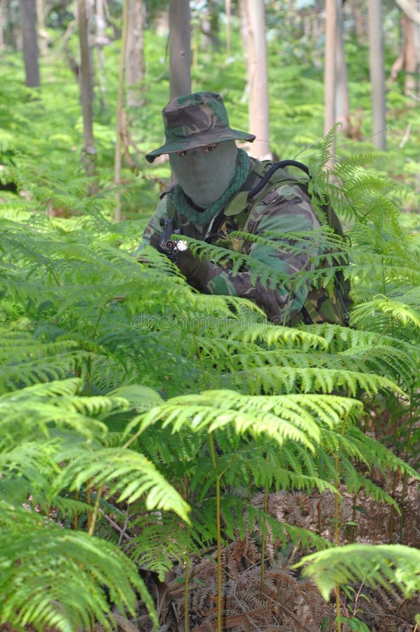 Military training combat stock photo. Image of army, isolated - 5197696