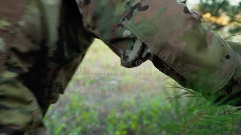 Military Walk in the Plants of the Forest Stock Footage - Video of ...