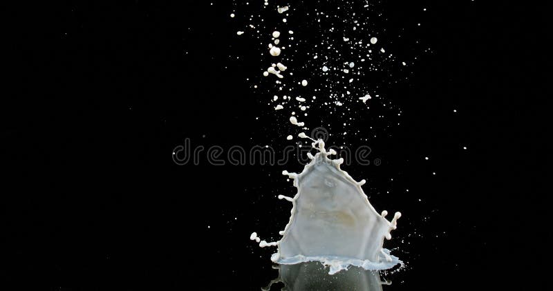 Milk Bouncing and Splashing on Black Background Stock Image - Image of ...