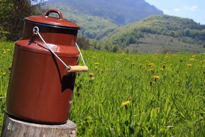 Milk can stock photo. Image of earth, cover, healthy - 15115816