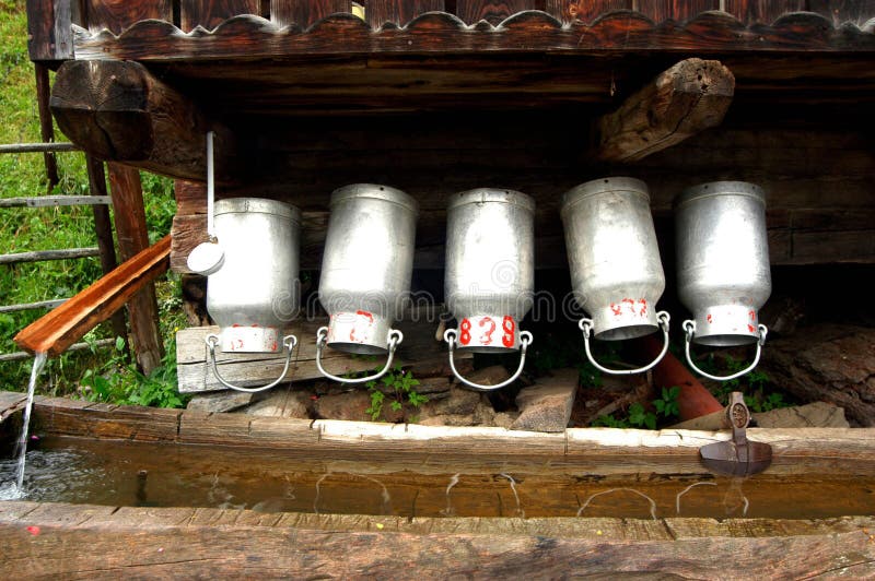 Milk cans on a dairy farm stock photo. Image of farming - 184705840