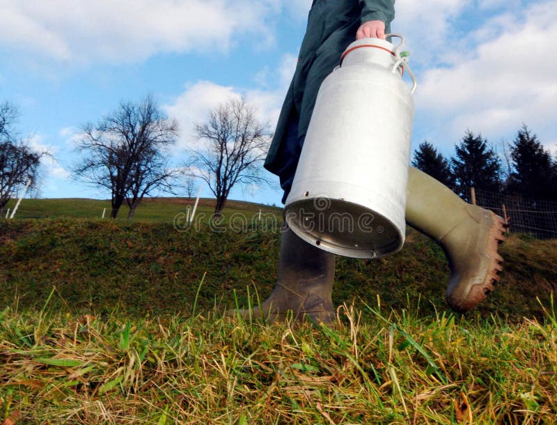 Milk cans on a dairy farm stock photo. Image of milk - 210051352