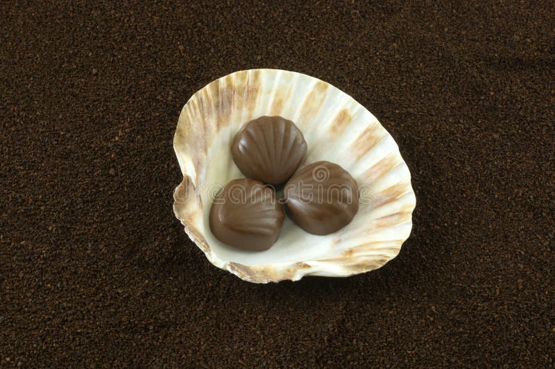 Milk Chocolate Candy on Scallop Shell Stock Image - Image of food ...