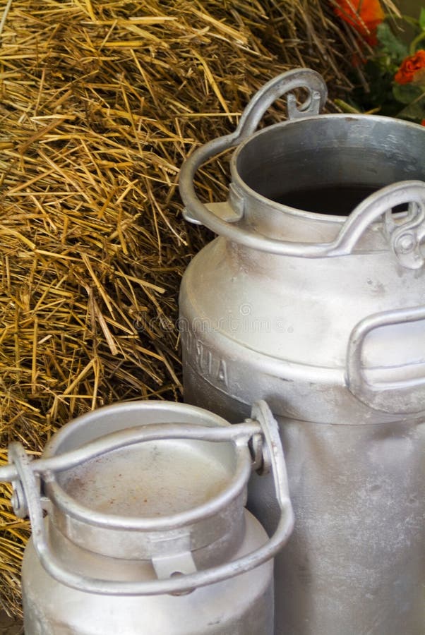 Milk Containers in Bucovina, Romania Stock Image - Image of organic ...