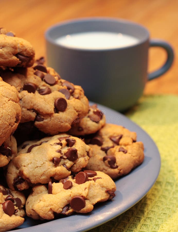 Milk and Cookies stock photo. Image of baked, sugar, variety - 22600618