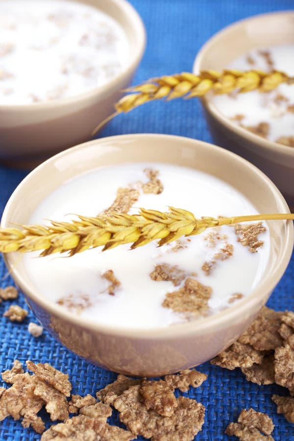Milk and cornflakes stock photo. Image of cereal, kilos - 10969314