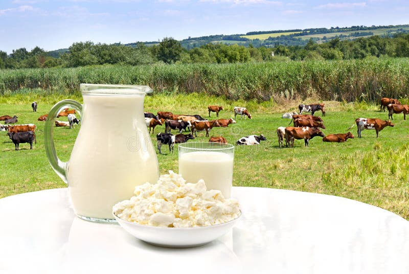 Milk and Cottage Cheese on Background of Meadows with Cows Stock Image ...