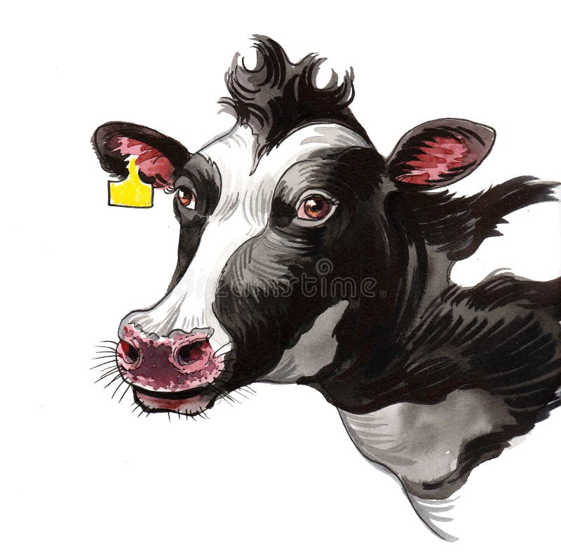 Milk cow head stock illustration. Illustration of drawing - 302880964