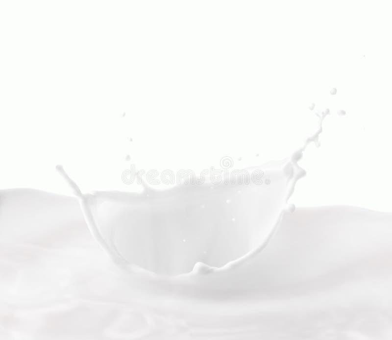 Milk Crown Splash Splashing Pool White Background Stock Photos - Free ...