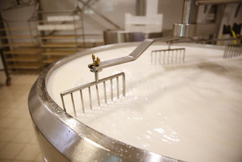 Milk in Curd Preparation Tank at Cheese Factory Stock Photo - Image of ...