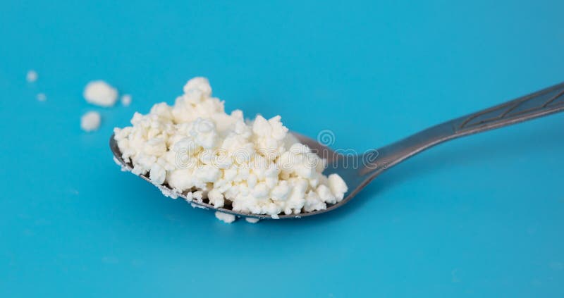 Curd on spoon stock photo. Image of product, milk, cooking - 17424292