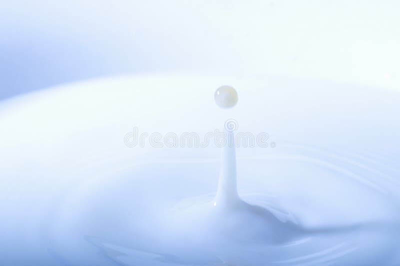 Milk drop stock image. Image of dairy, splash, fast, circles - 10033599