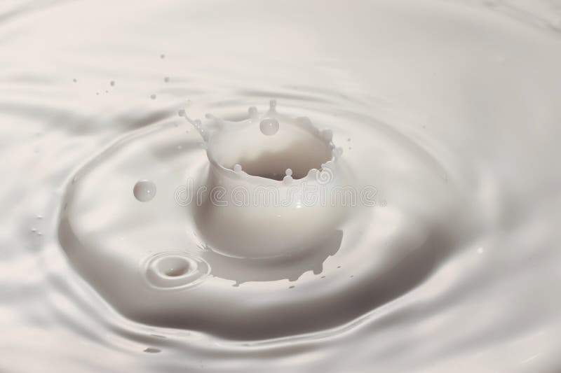 Milk stock photo. Image of closeup, freshness, milk, healthy - 15033968
