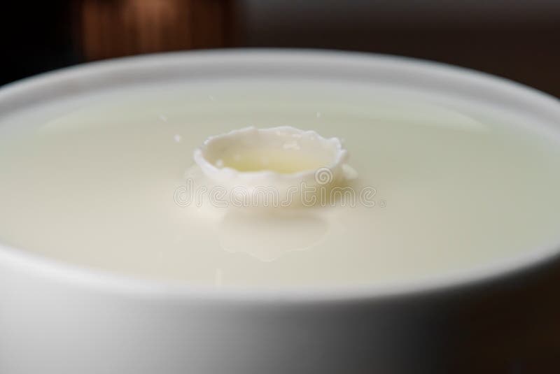 Milk drop falls stock image. Image of abstract, milkshake - 206756363