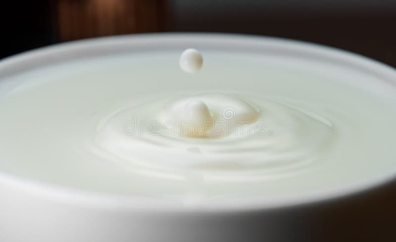 Milk drop falls stock image. Image of calcium, circle - 206756367