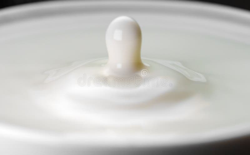 Milk drop falls stock photo. Image of milk, flow, healthy - 206756374