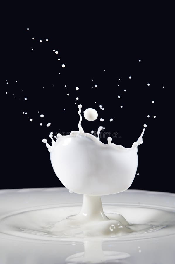 Milk splash stock photo. Image of isolated, splash, drop - 16662748