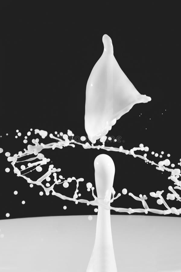 Collisson Stock Illustrations – 1 Collisson Stock Illustrations ...