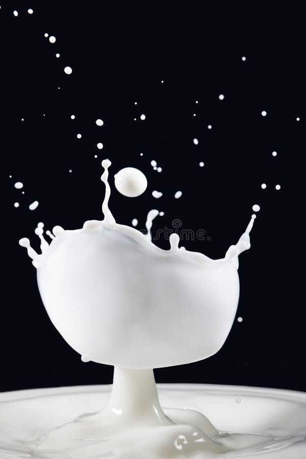 Milk-drop,splash stock photo. Image of creamy, milky - 49639144