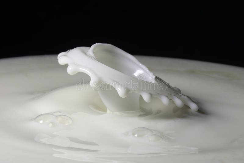 Milk drop splash stock image. Image of liquid, fluid - 265243295