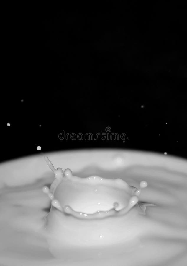 Milk Droplet stock image. Image of moment, swell, flow - 509899