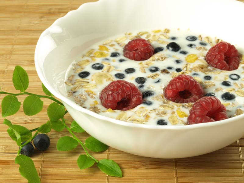 Milk with fruits stock image. Image of gourmet, dessert - 28413873