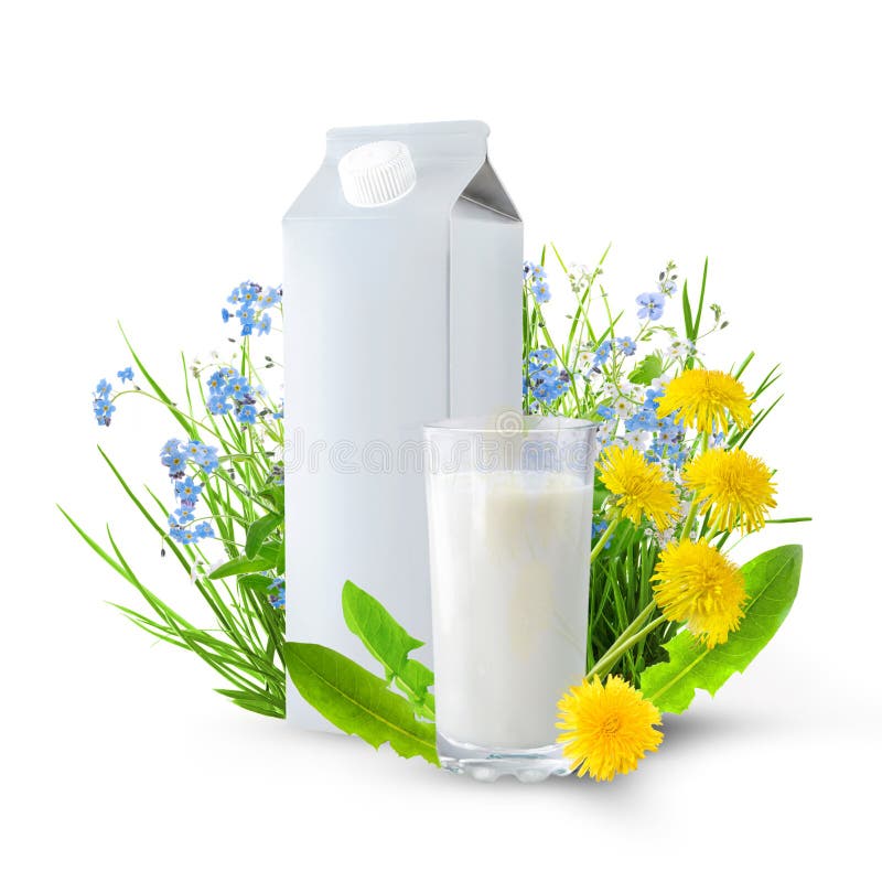 Milk in the glass stock photo. Image of beverage, health - 92229132