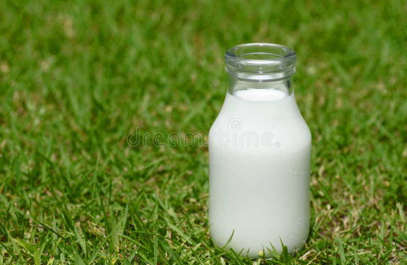 Milk on green field stock photo. Image of drinking, macro - 23804340