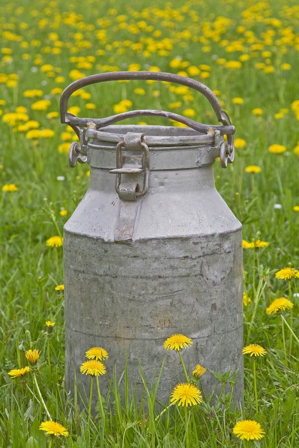 Milk jug in meadow stock photo. Image of saublume, products - 25594656