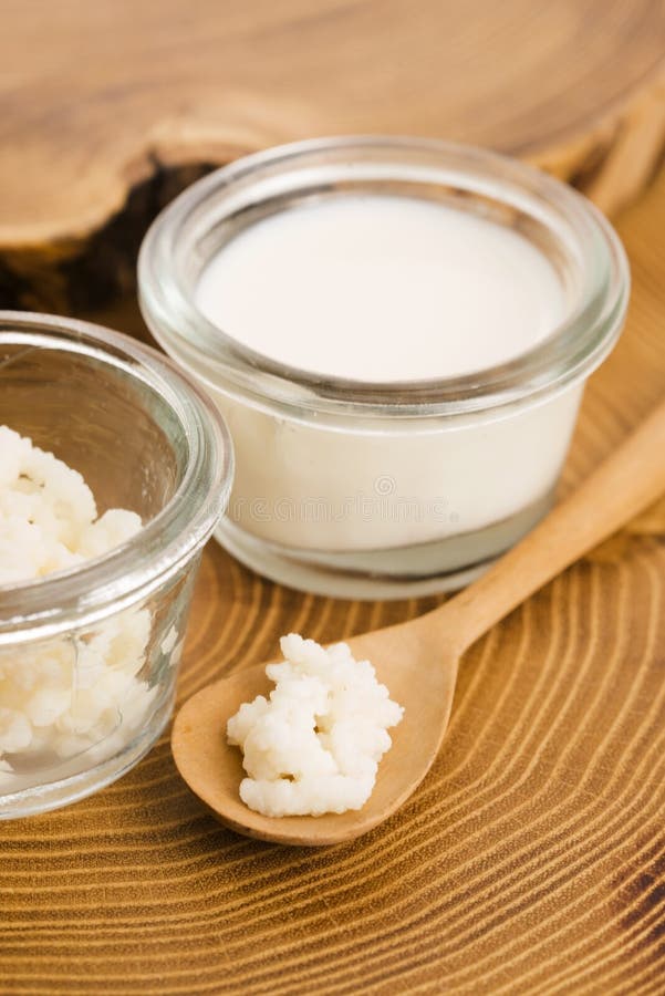 Milk kefir grains stock image. Image of kefir, milk, organic - 69237109
