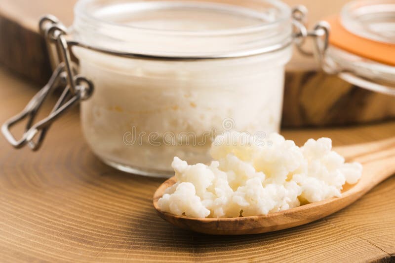 Milk kefir grains stock photo. Image of kephir, probiotic - 71514498