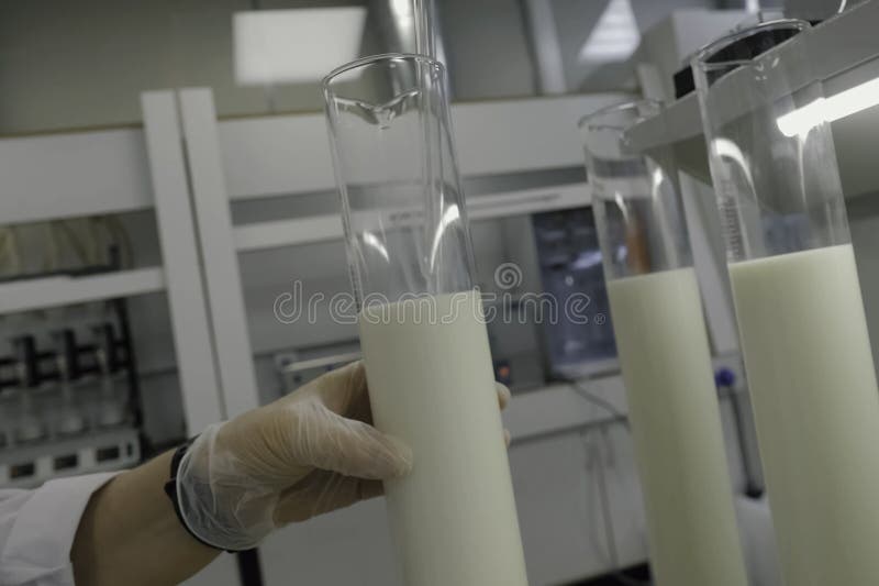 Milk in Laboratory. Milk Tests for Laboratory Tests Stock Photo - Image ...