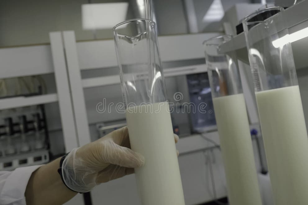 Milk in Laboratory. Milk Tests for Laboratory Tests Stock Photo - Image ...