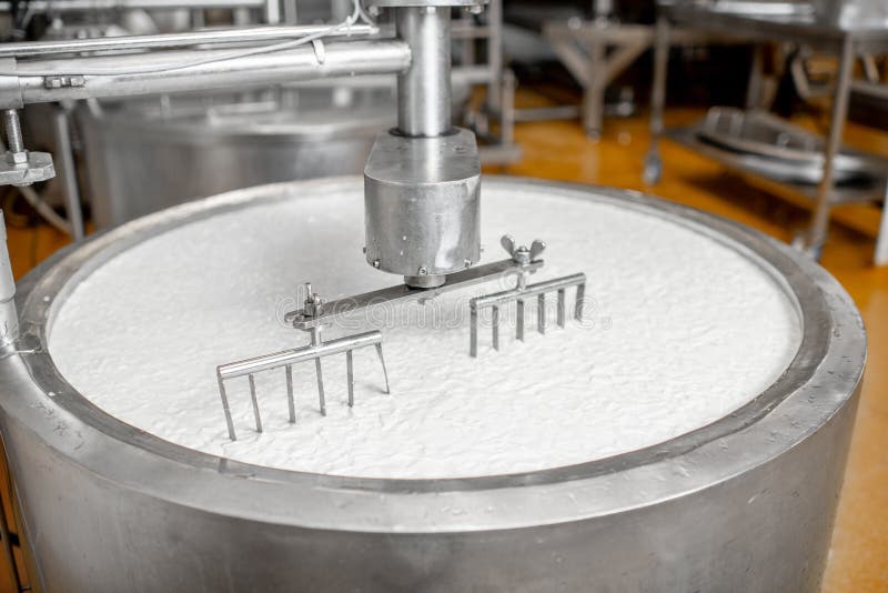 Man Mixing Raw Cheese in the Stainless Tank during the Fermentation ...