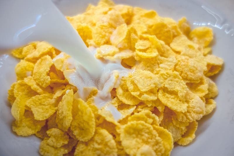 Milk is Poured into Corn Flakes, a Quick Breakfast Stock Image - Image ...