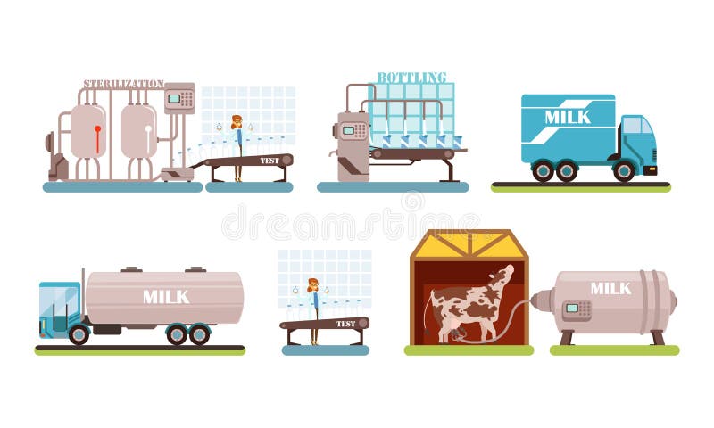 Milk Production Set. Cow Milking, Pasteurization and Bottling Automated ...