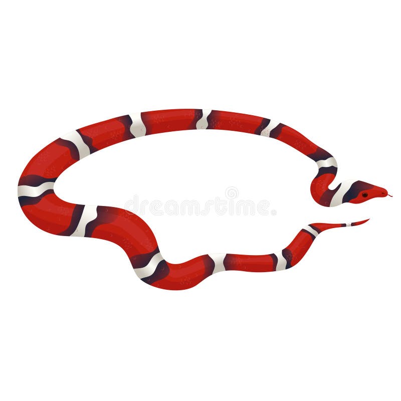 Milk Snake Cartoon Vector Illustration Stock Vector - Illustration of ...