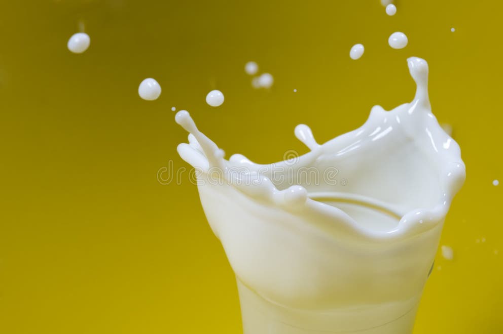 Milk splash stock image. Image of purity, delicious, drink - 13513405