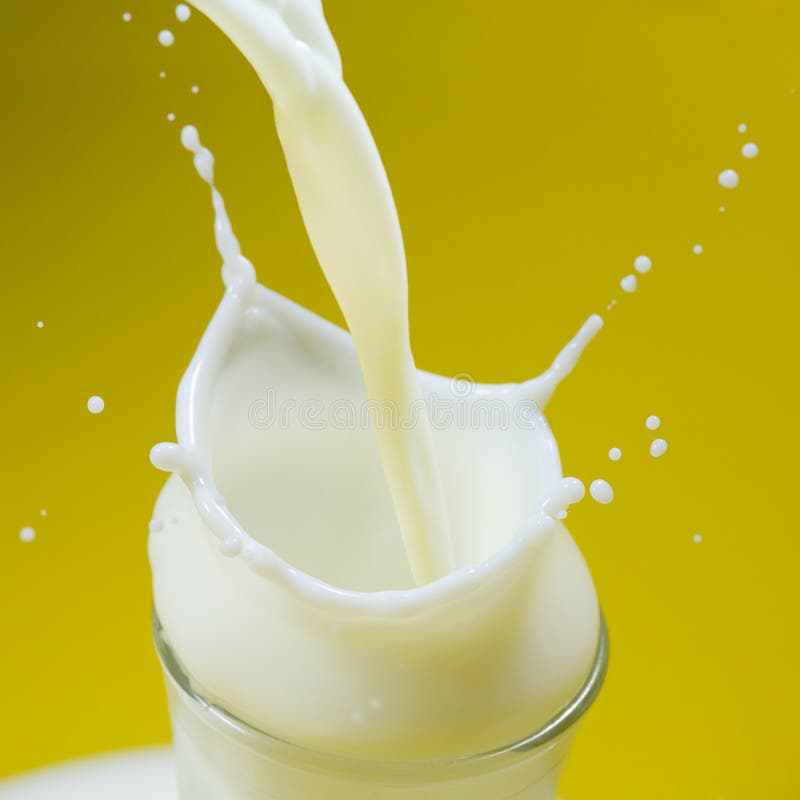 Milk Splash stock photo. Image of splash, milk, close - 13513432