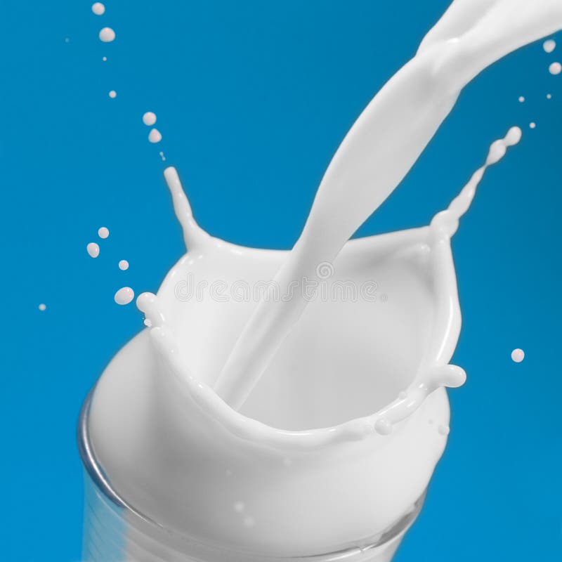 Milk splash stock image. Image of purity, delicious, drink - 13513405