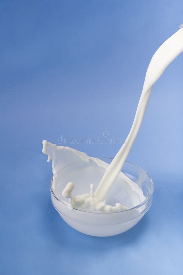 Milk splash. stock photo. Image of composition, drip - 16197070