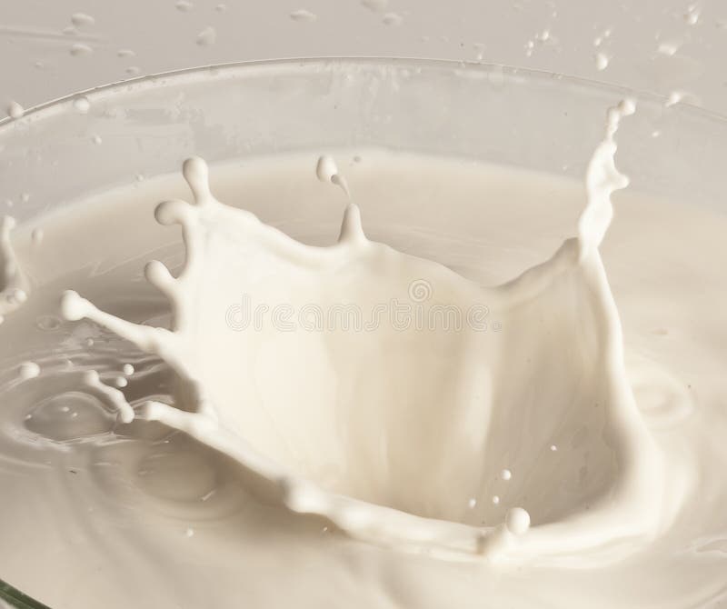 Milk splash stock image. Image of background, isolated - 16465721
